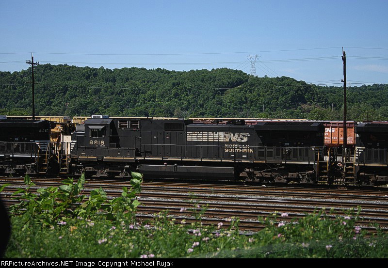 NS 8818